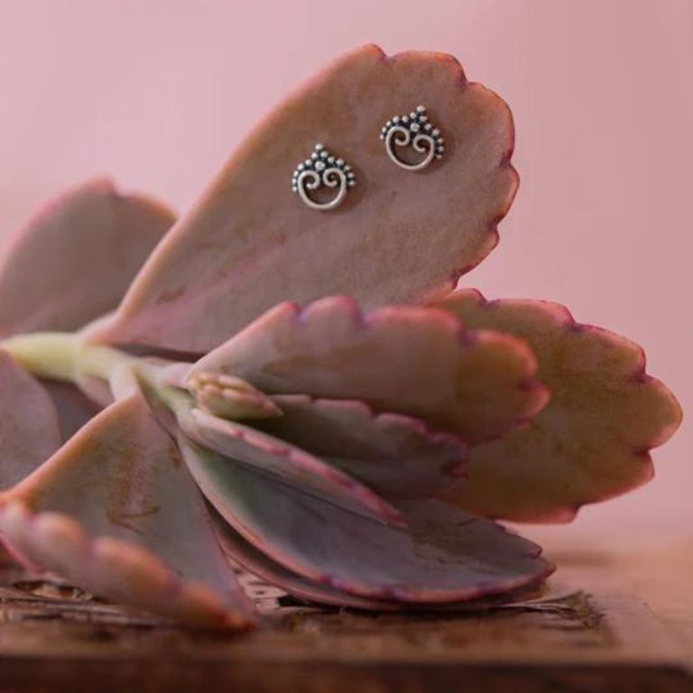 TREE OF LIFE - Figtree Grove