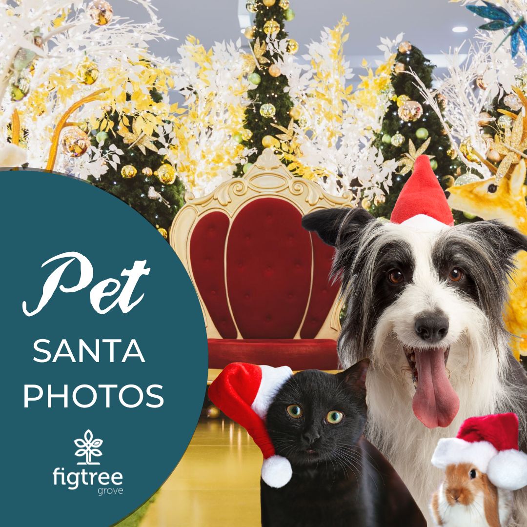 Find a Store - Figtree Grove