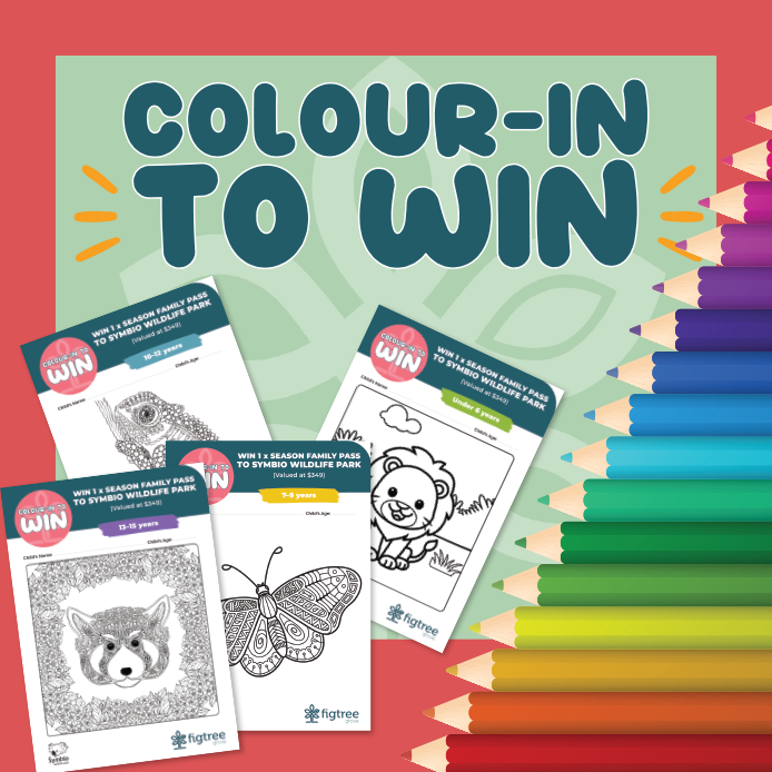 Colouring In Competition - Figtree Grove