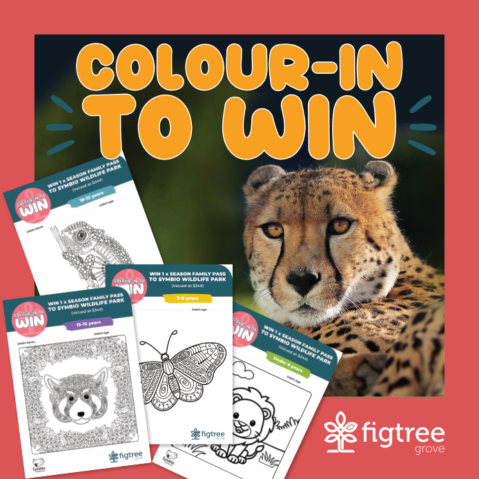Colouring In Competition - Figtree Grove